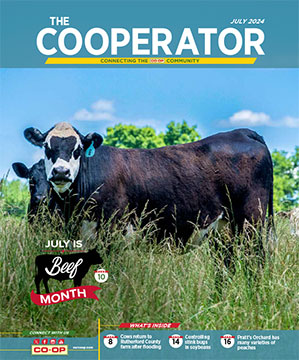 Homepage | Our Co-op